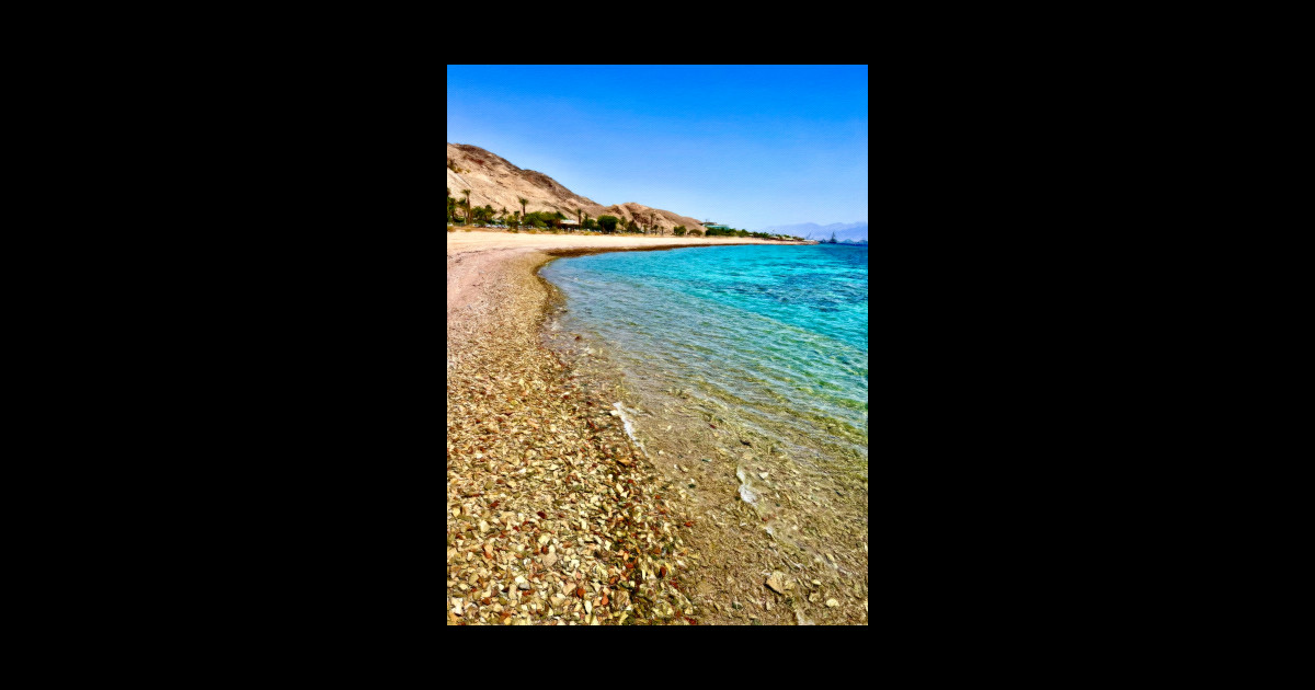 On the Banks of the Red Sea - Pamela Storch - Posters and Art Prints ...