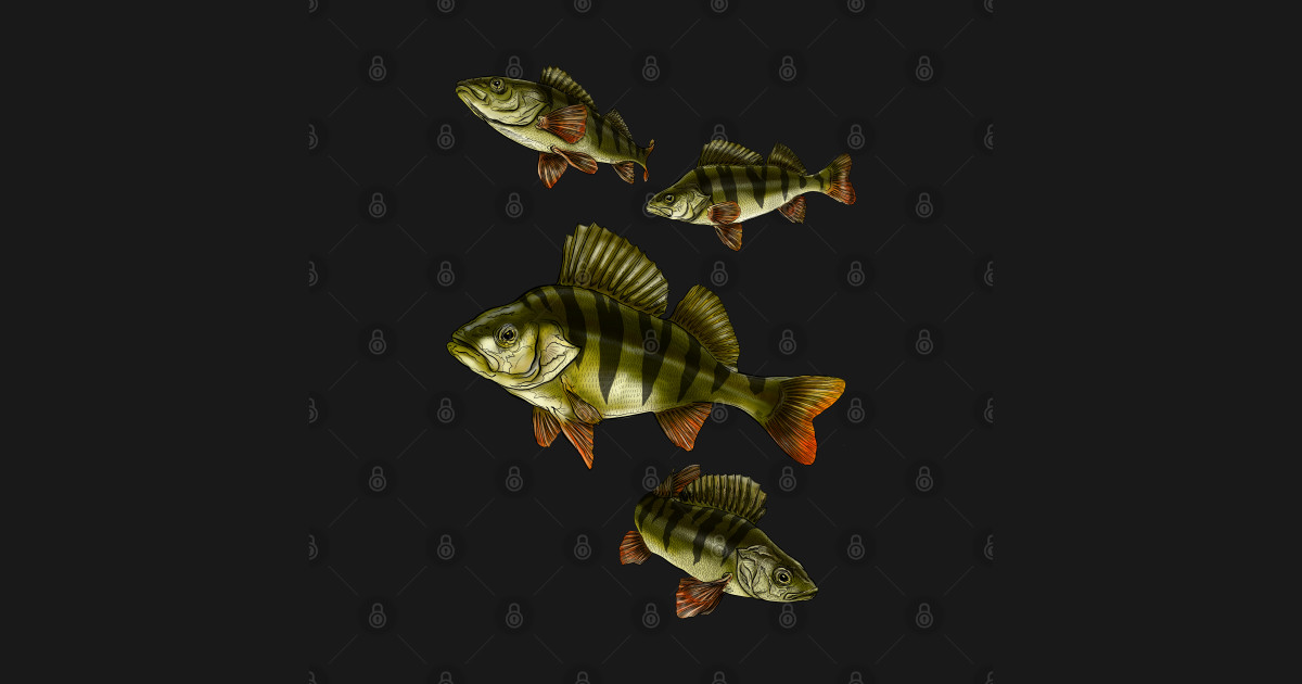 Perch - Perch - T-Shirt | TeePublic