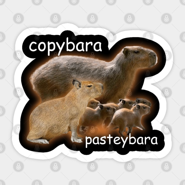 Copybara Pasteybara Meme - Capybara - Sticker | TeePublic
