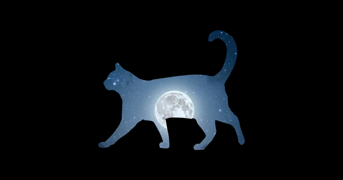 MIDNIGHT KITTEN - Kitten - Sticker | TeePublic