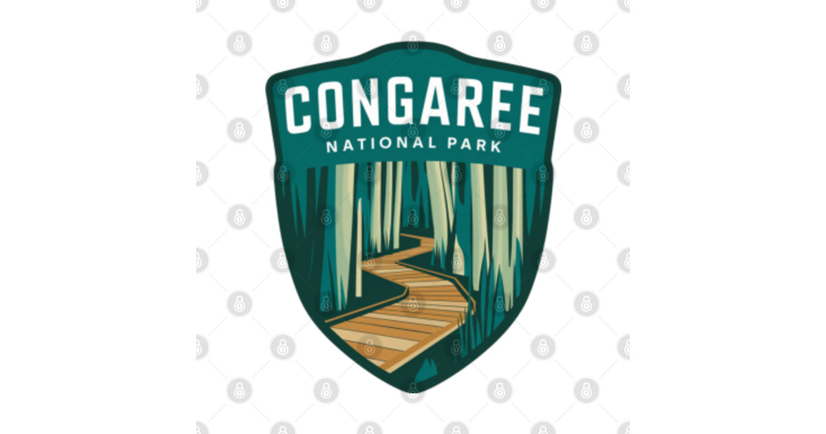 Congaree National Park Boardwalk Adventure - Congaree National Park - T ...