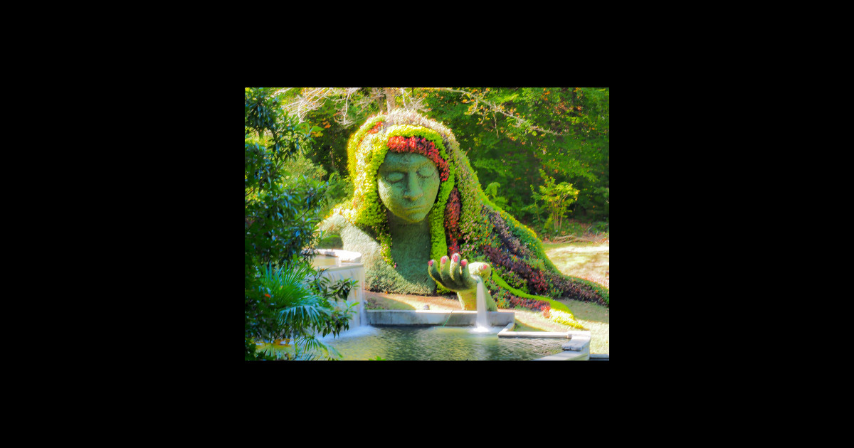 Fountain in botanical garden - Fountain - Sticker | TeePublic