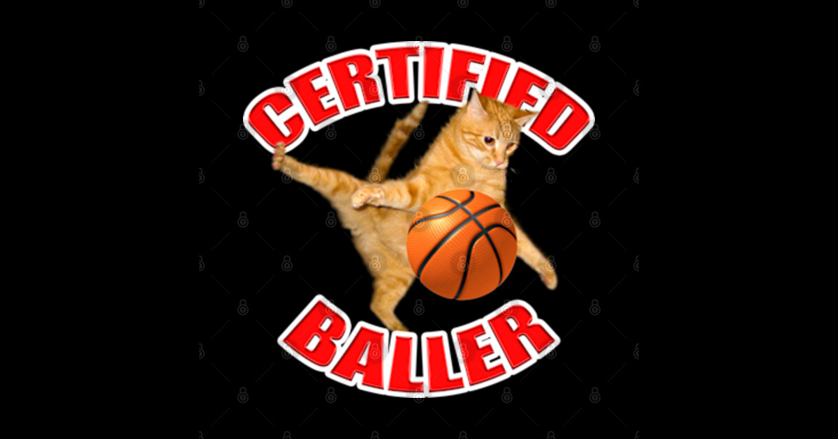 Certified baller - Cat Memes - Sticker | TeePublic