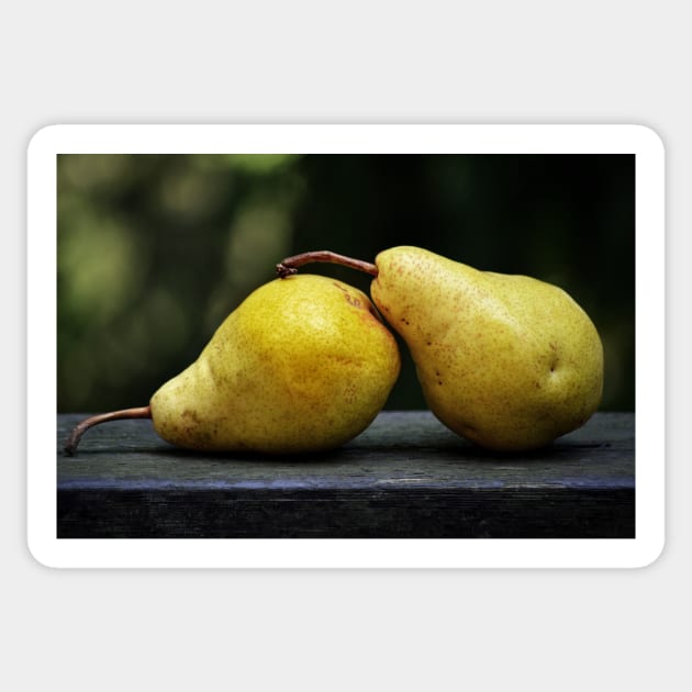 "Aren't we a pair.....?" - Pears Photo - Sticker | TeePublic