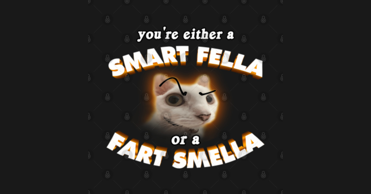 Youre A Smart Fellas Or A Fart Smellas - Youre A Smart Fellas Or A Fart Smellas - T-Shirt ...