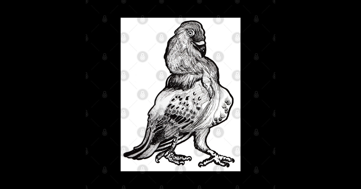 Trash Bird - Pigeon - Posters and Art Prints | TeePublic