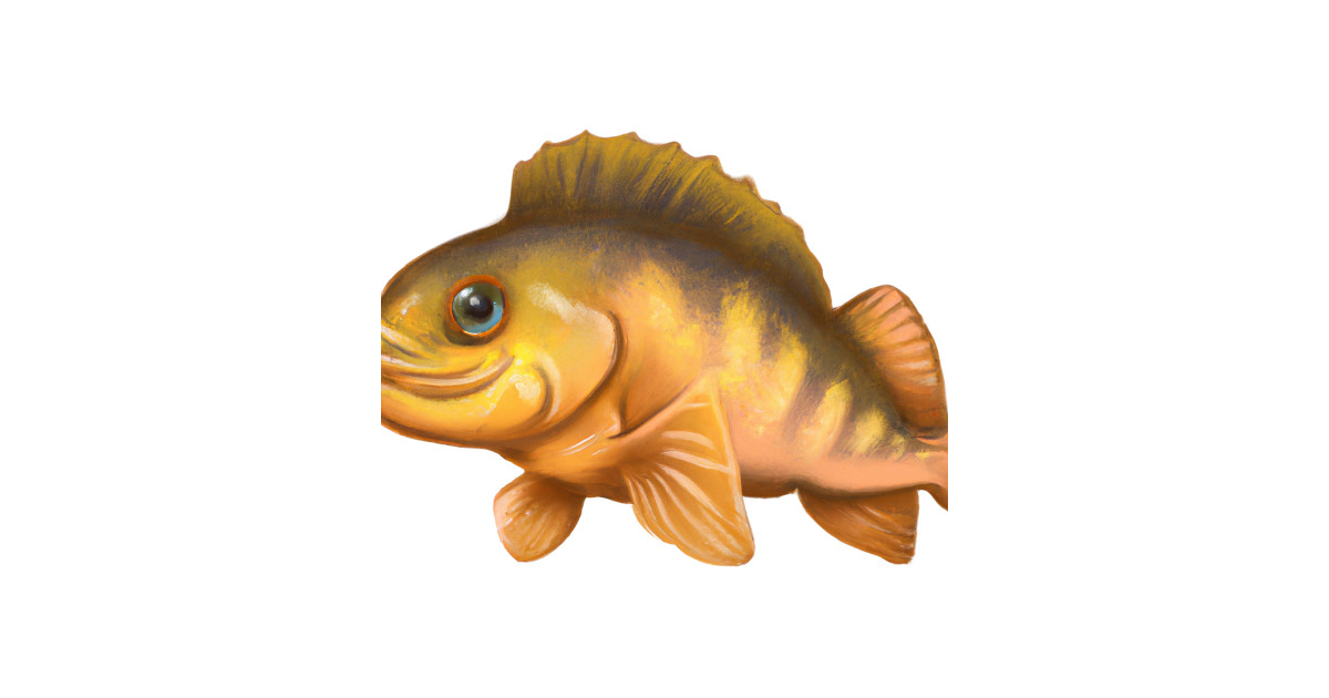 Cute Perch Drawing - Perch - T-Shirt | TeePublic