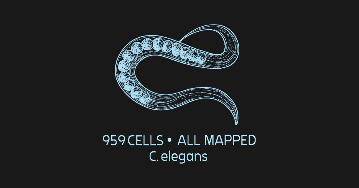 959 Cell All Mapped Biology C Elegans - Biology Humor - T-Shirt | TeePublic