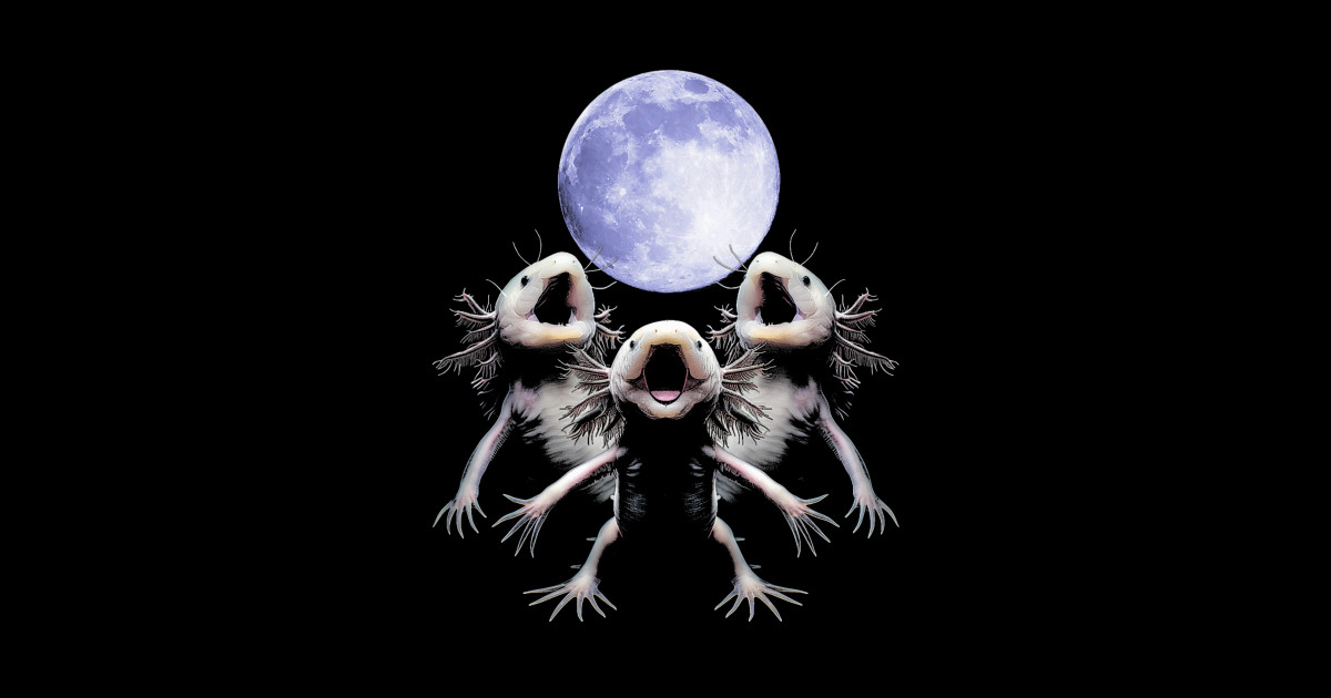 3 Axolotls Moon Three Wolf Howling At Parody Axolotl - Axolotl ...