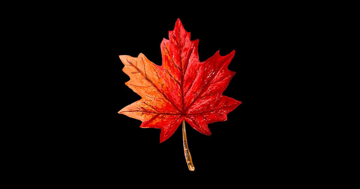 Cool Maple © - Maple Leaf - Sticker | TeePublic