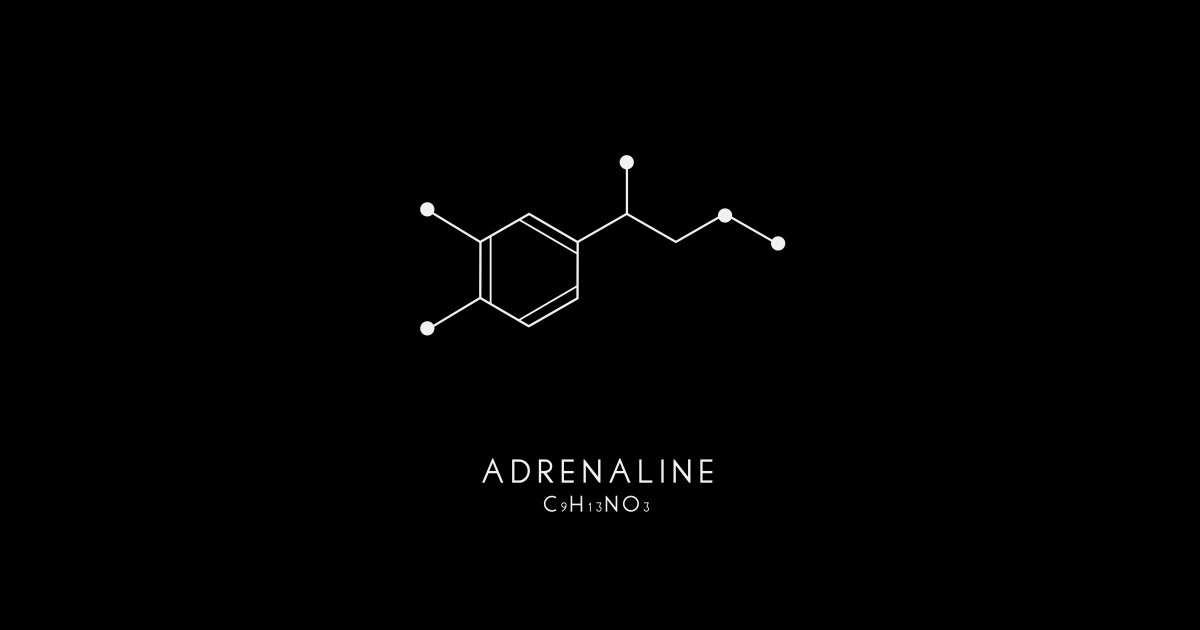 Adrenaline Molecular Structure - Adrenaline - Sticker | TeePublic