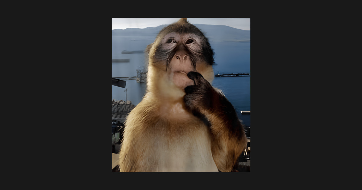 Thinking Monkey Ape Brainrot - Funny Monkey Meme - T-Shirt | TeePublic