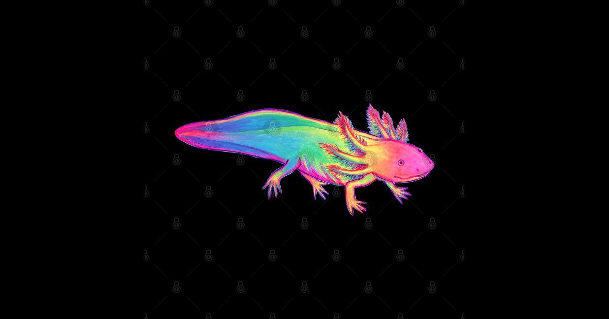 Rainbow Axolotl - Axolotl - Sticker | TeePublic