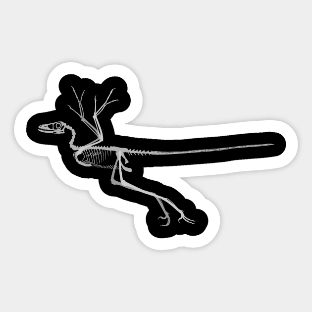 microraptor gui skeleton