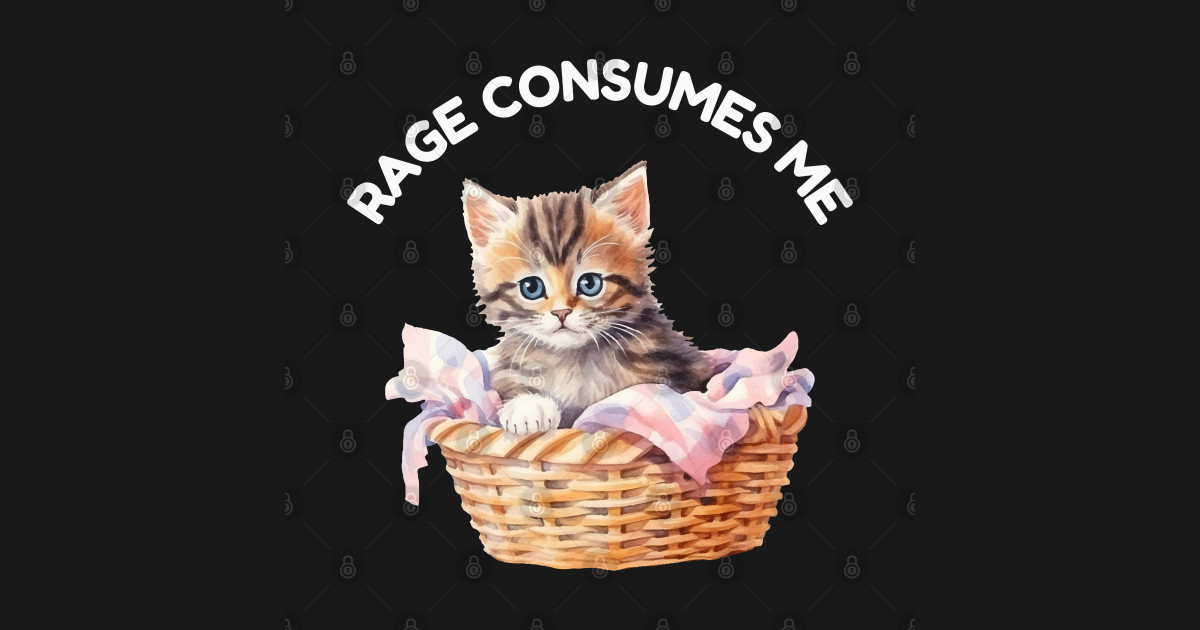 Rage Consumes Me Funny Cat Meme Cute Kitten - Rage Consumes Me - T ...