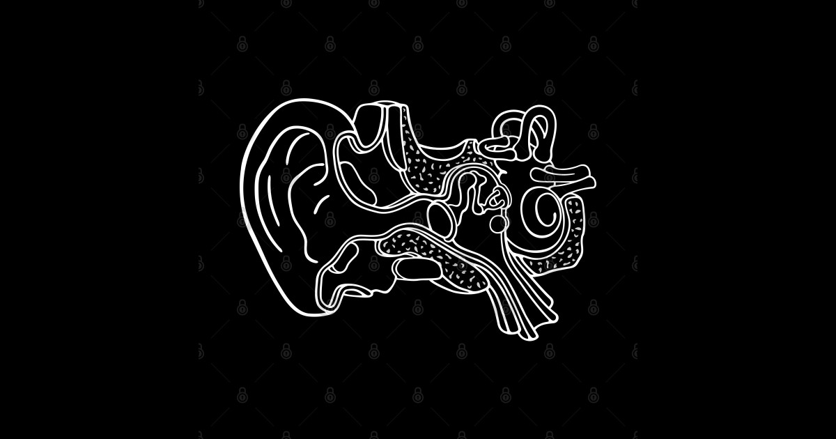 White Line Drawing of Inner Ear Anatomy Illustration - Inner Ear - T ...