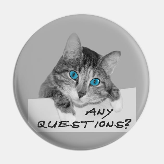 Any Questions? Cute Blue Eyes Cat - Any Questions Cute Cat - Pin ...