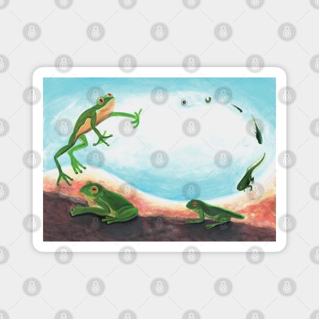 Metamorphosis - Life cycle of a frog - Frog - Magnet | TeePublic