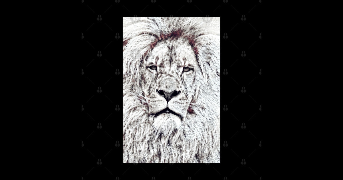 black and white lion/simba art - Lion - Posters and Art Prints | TeePublic