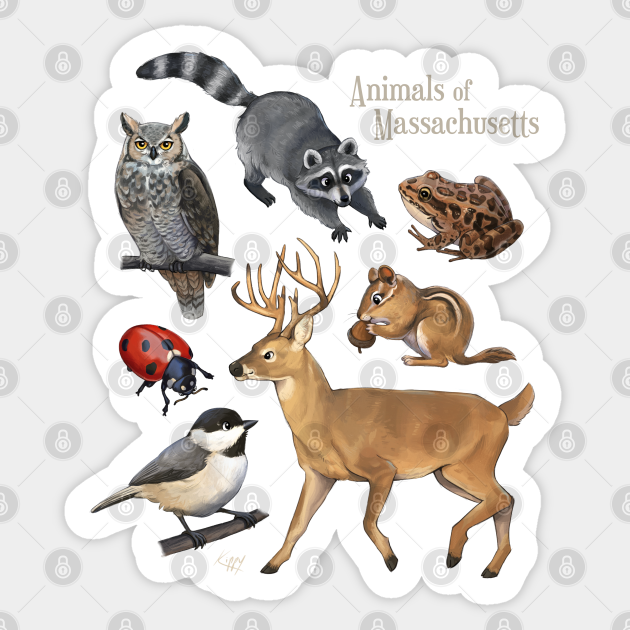 Animals of Massachusetts - Massachusetts Animals - Sticker | TeePublic