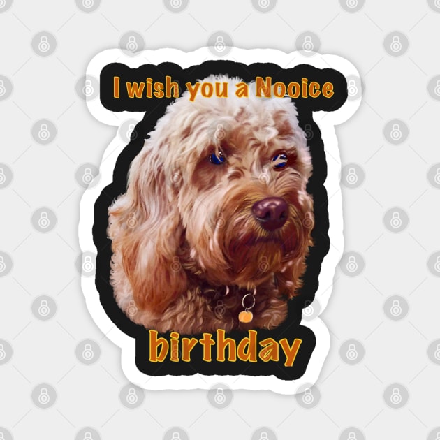 Happy birthday greetings, I wish you a nooice birthday - Cavapoo puppy ...