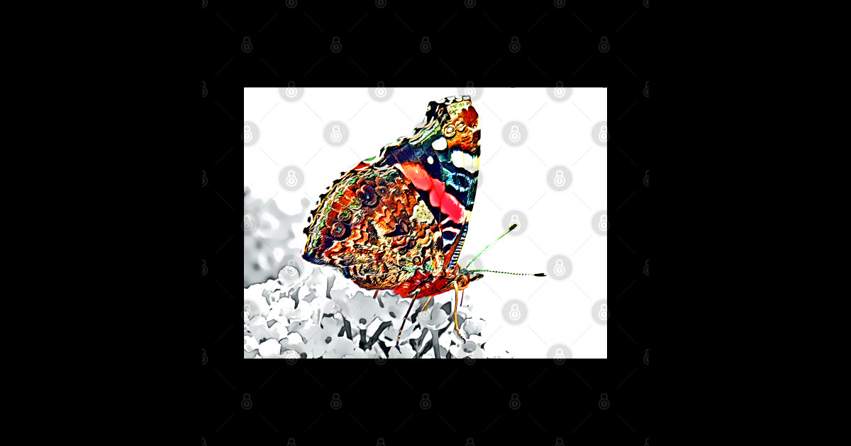 Red Admiral Wings - Butterfly - Sticker | TeePublic