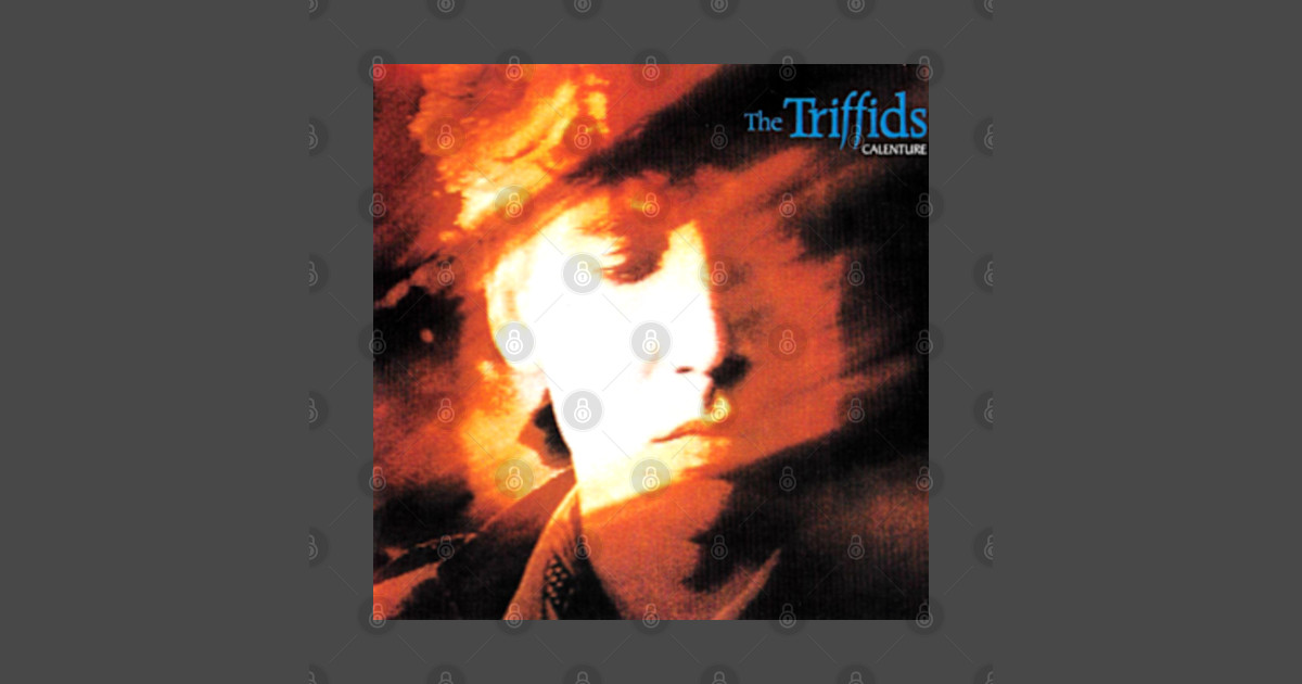 Calenture 1987 Design - The Triffids - T-Shirt | TeePublic