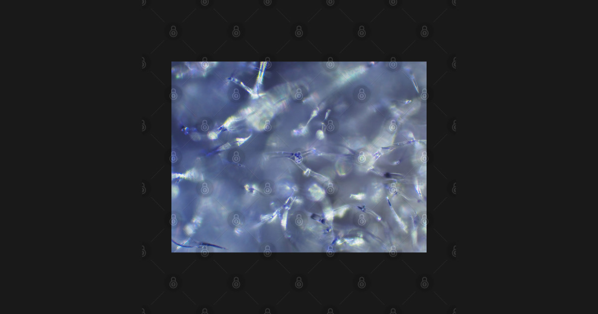 Lavender flower under microscope - Lavender - T-Shirt | TeePublic