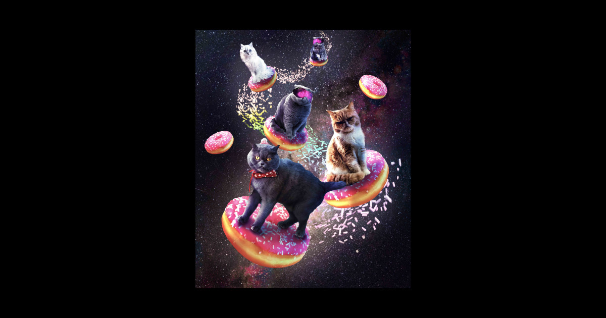 Galaxy Cat Donut - Space Cats Riding Donuts - Galaxy Cat Donut Space ...