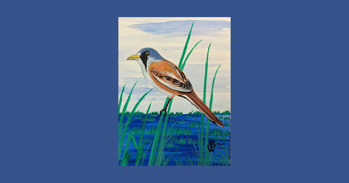 Bearded reedling in the wetlands - Bearded Reedling - T-Shirt | TeePublic
