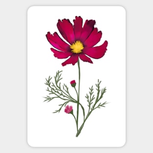 Cosmos Flower Stickers for Sale | TeePublic