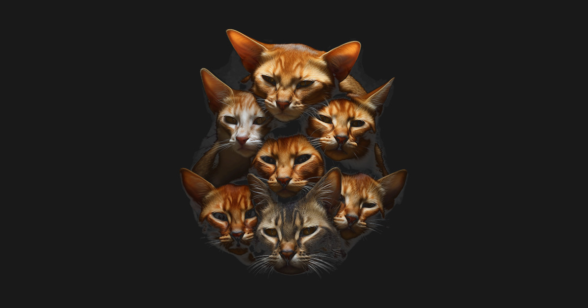 S2 Abyssinian Cat (64) - Abyssinian Cat - T-Shirt | TeePublic