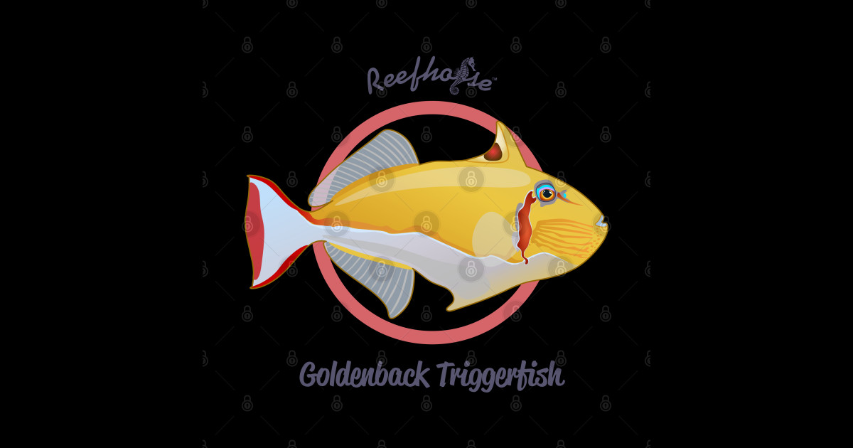 Golden Triggerfish - Reefhorse - Sticker | TeePublic