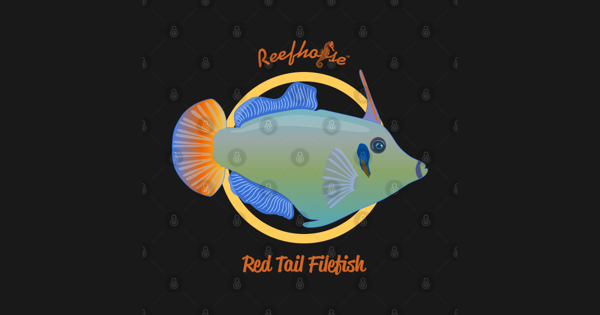 Red Tail Filefish - Reefhorse - T-Shirt | TeePublic