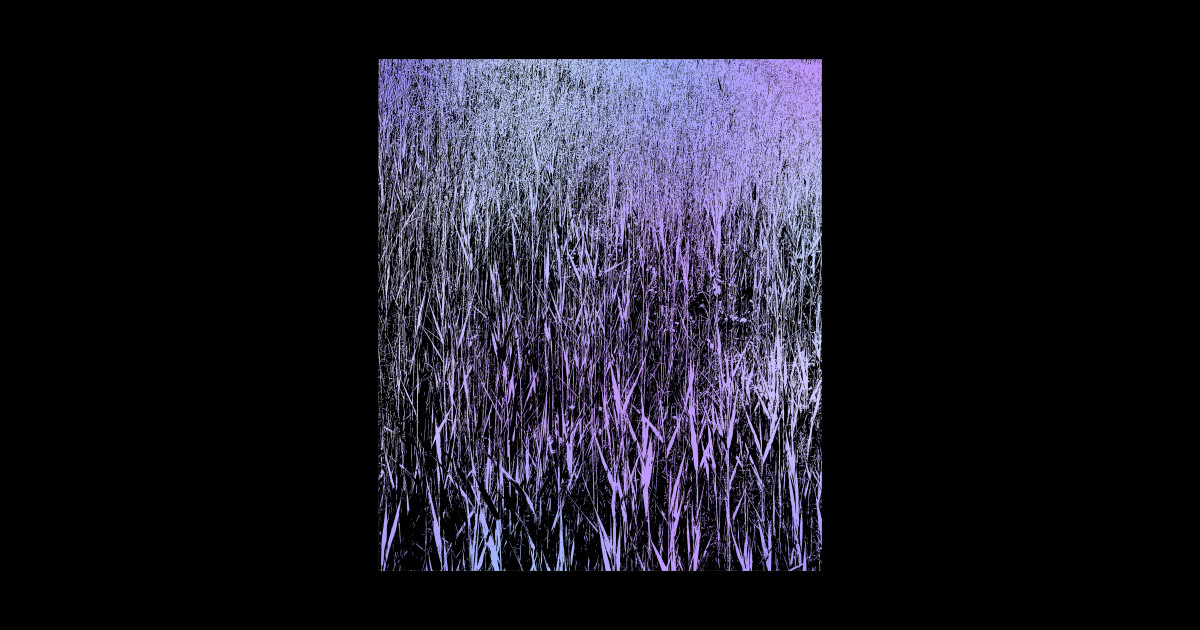 Pink colored Reed. - Pink - Sticker | TeePublic