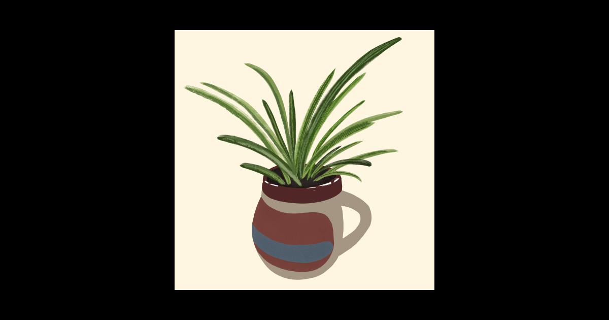 Spider plant baby - Plant - Sticker | TeePublic