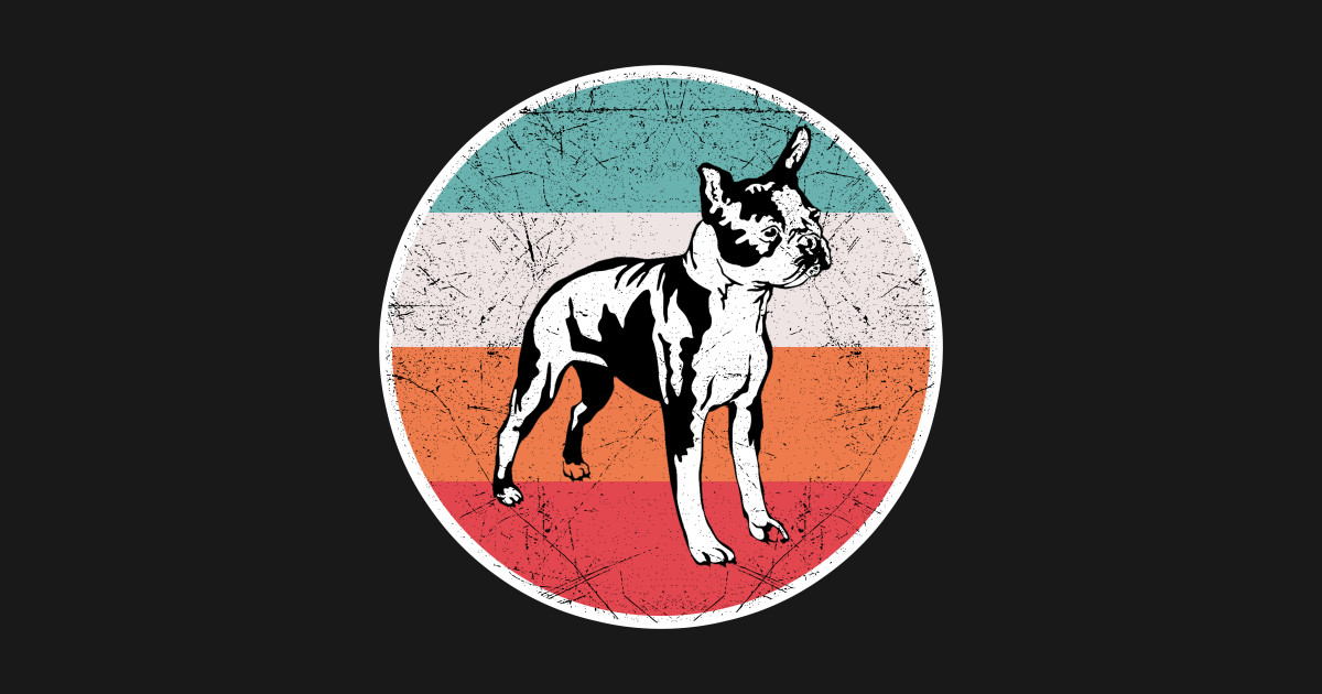Vintage Retro Boston Terrier - Vintage Retro Boston Terrier - T-Shirt ...