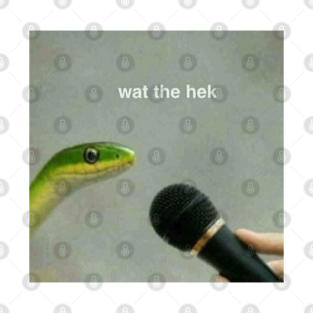 Snake What The Heck Funny Reaction Meme - Reaction Meme - T-Shirt ...