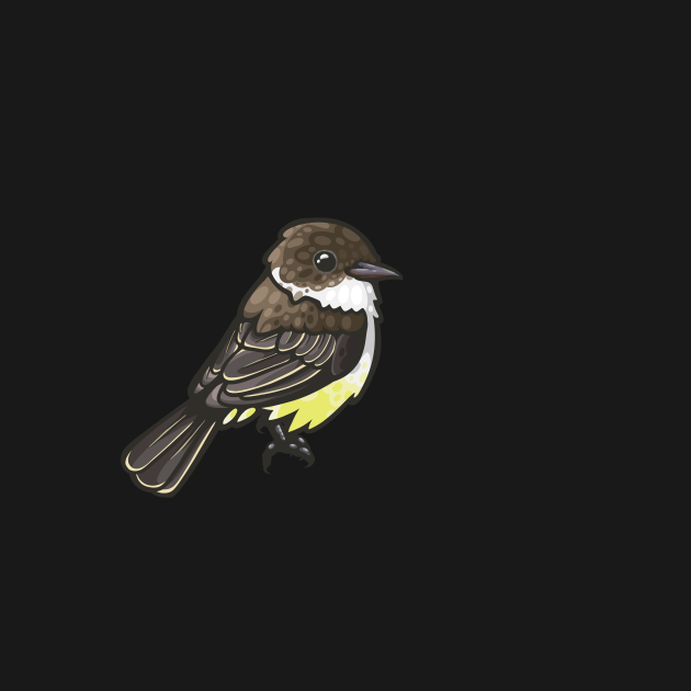 Sad Flycatcher - Bird - T-Shirt | TeePublic