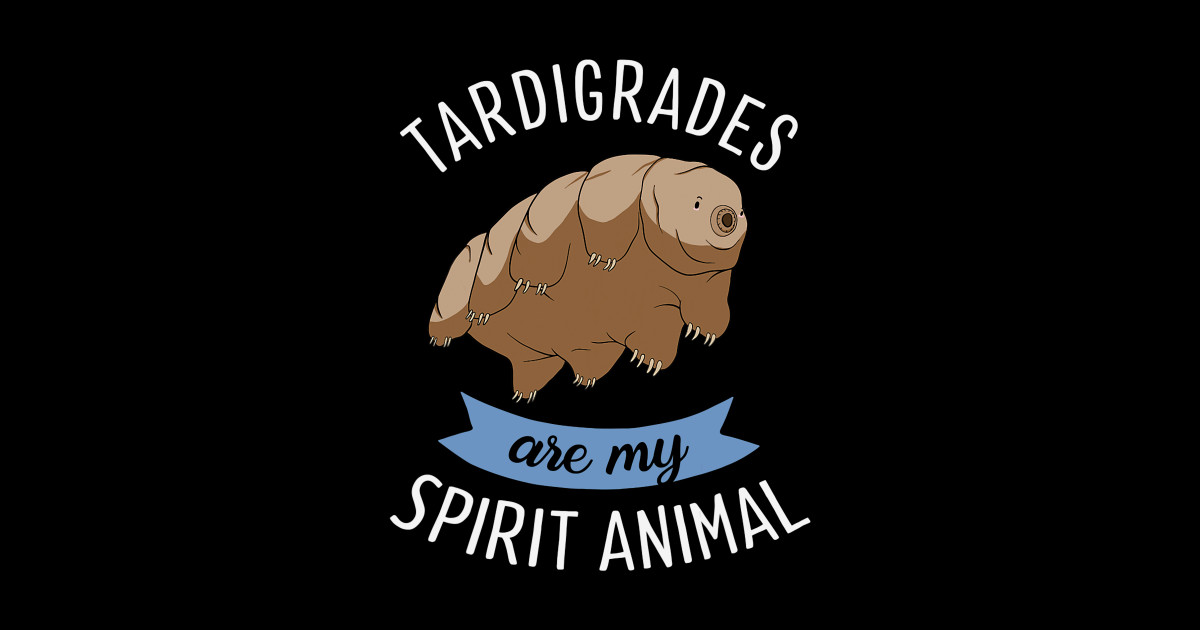 S2 Tardigrade Tardigrades Tardigrada Water Bear Bears Waterbear Moss ...