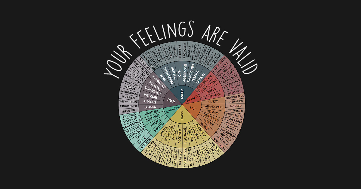 Your Feelings Are Valid Wheel Of Emotions Throw - Wheel Of Emotions - T ...