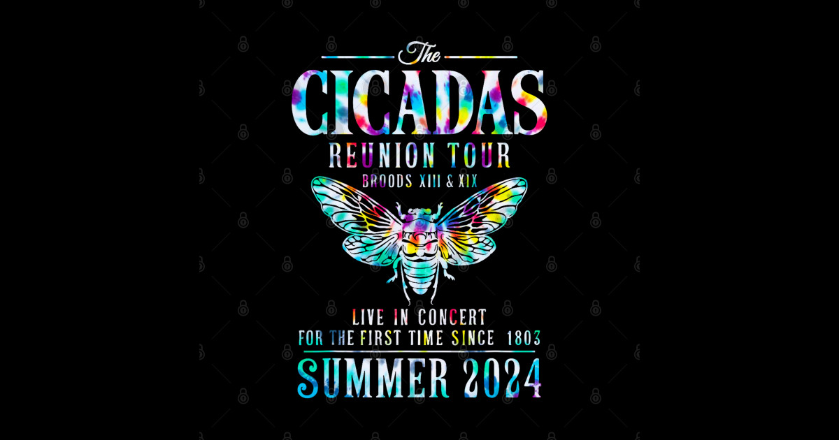 the cicadas reunion tour summer 2024 brood XIII XIX tie dye - The ...