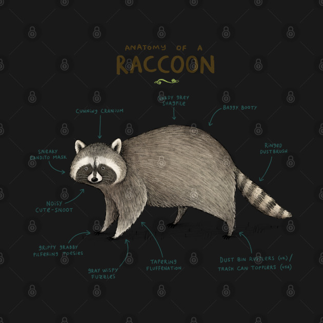 Anatomy Of A Raccoon - Raccoon - T-Shirt