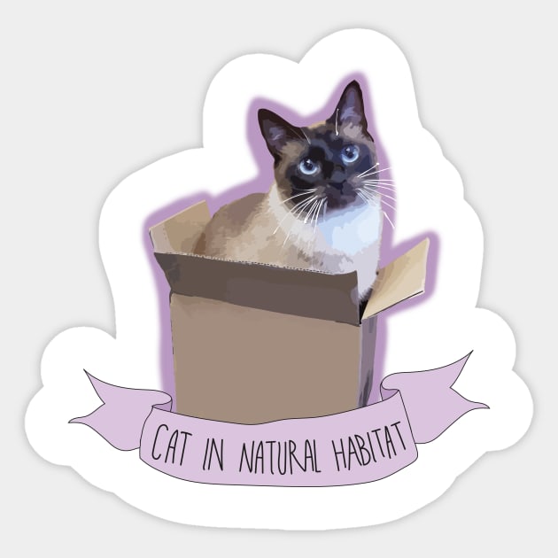 Cat in a box - Cat In A Box - Sticker | TeePublic