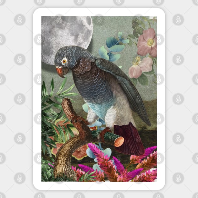 Parrot Moon Party - Parrot - Sticker | TeePublic