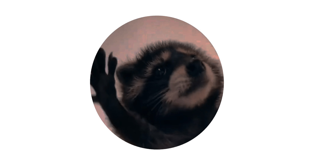 Pedro raccoon meme, dancing raccoon pedro meme trendy shirt, dancing ...