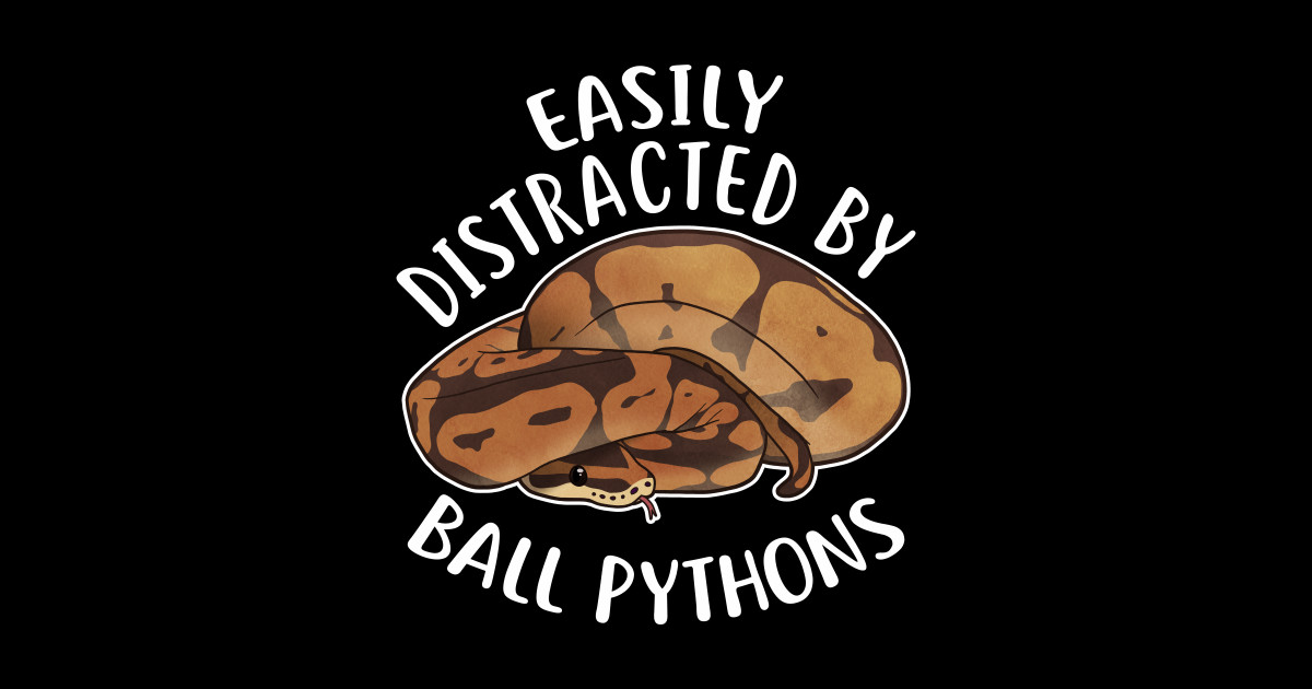Easily Distracted By Ball Pythons - Ball Python - Sticker | TeePublic