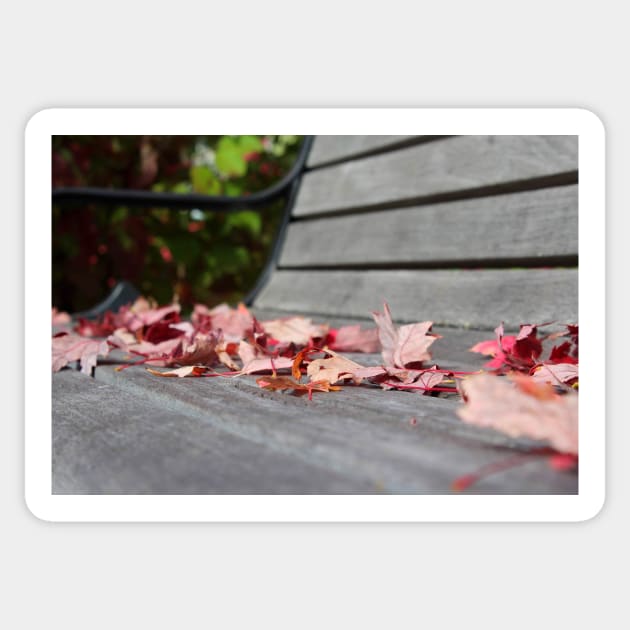 leaves on bench - Puzzle - Sticker | TeePublic