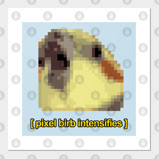 Pixel Birb Intensifies - 8bit Meme Humor Design - Birb Memes - Posters ...