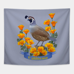 California State Bird Quail and Poppy Flower - Bird - T-Shirt | TeePublic